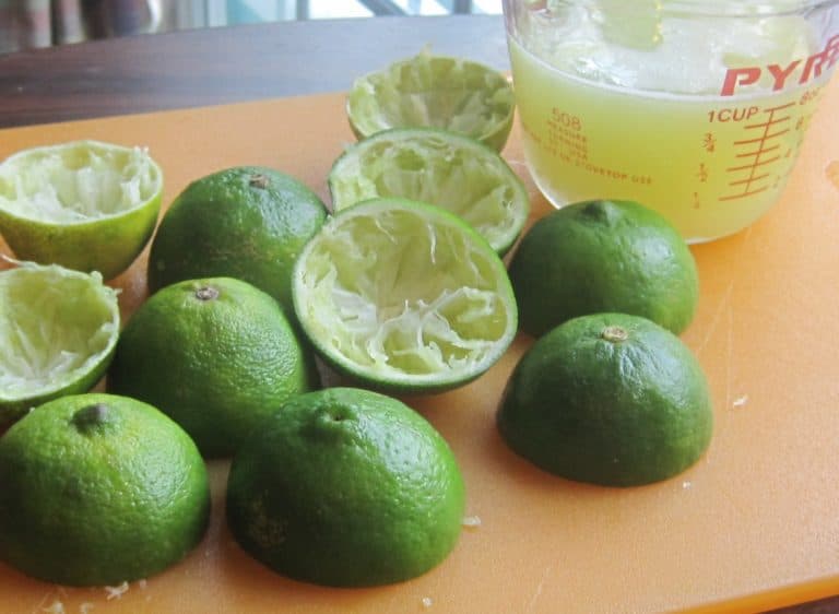 Pucker Up! Sweet and Tart Limeade - Juggling with Julia